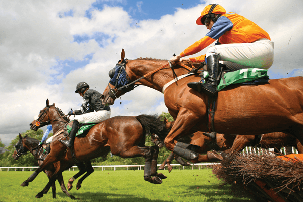 Race Day Events - Airlink Direct